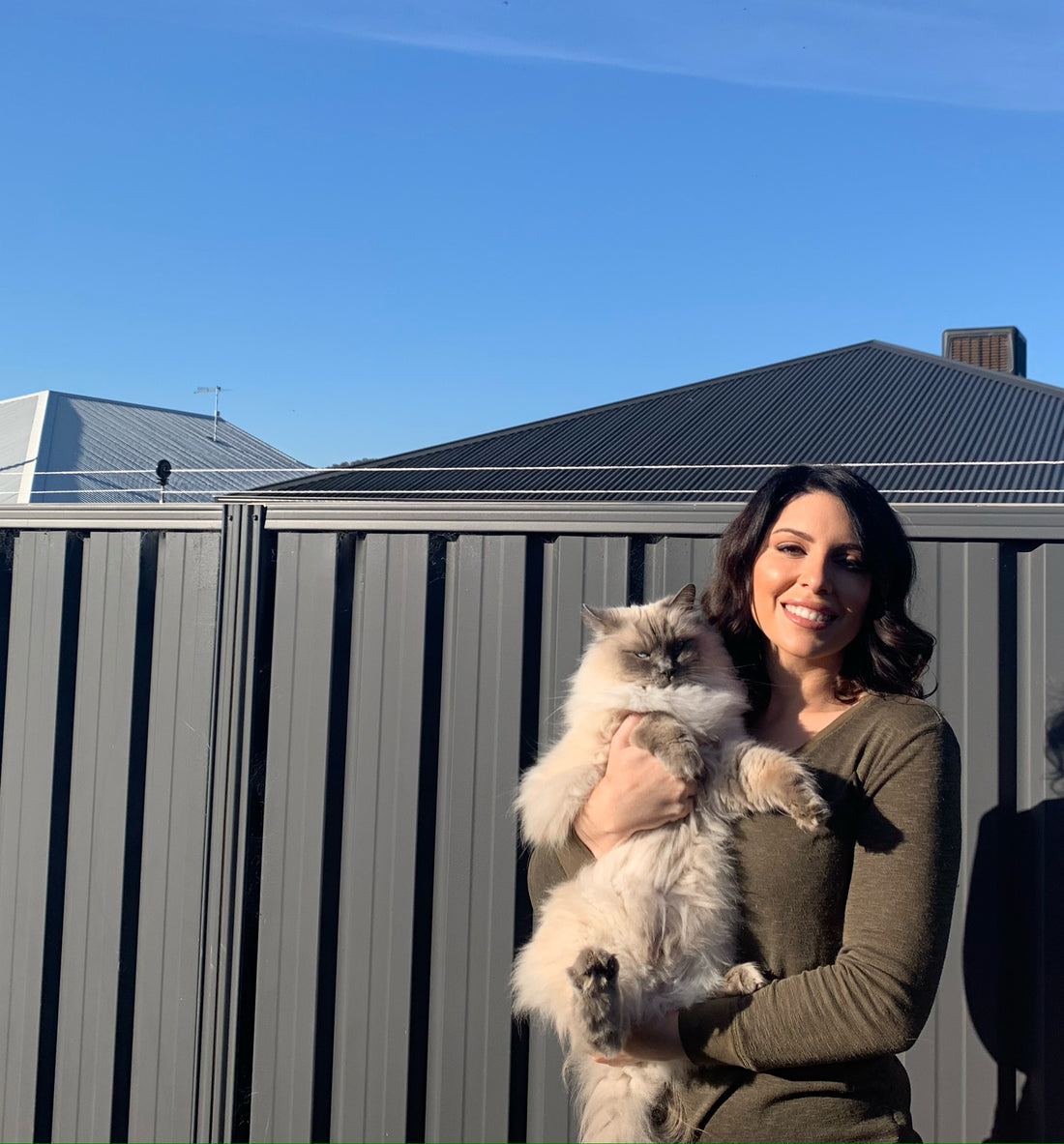 Cat Proof Your Fence – SmartCats StayHome